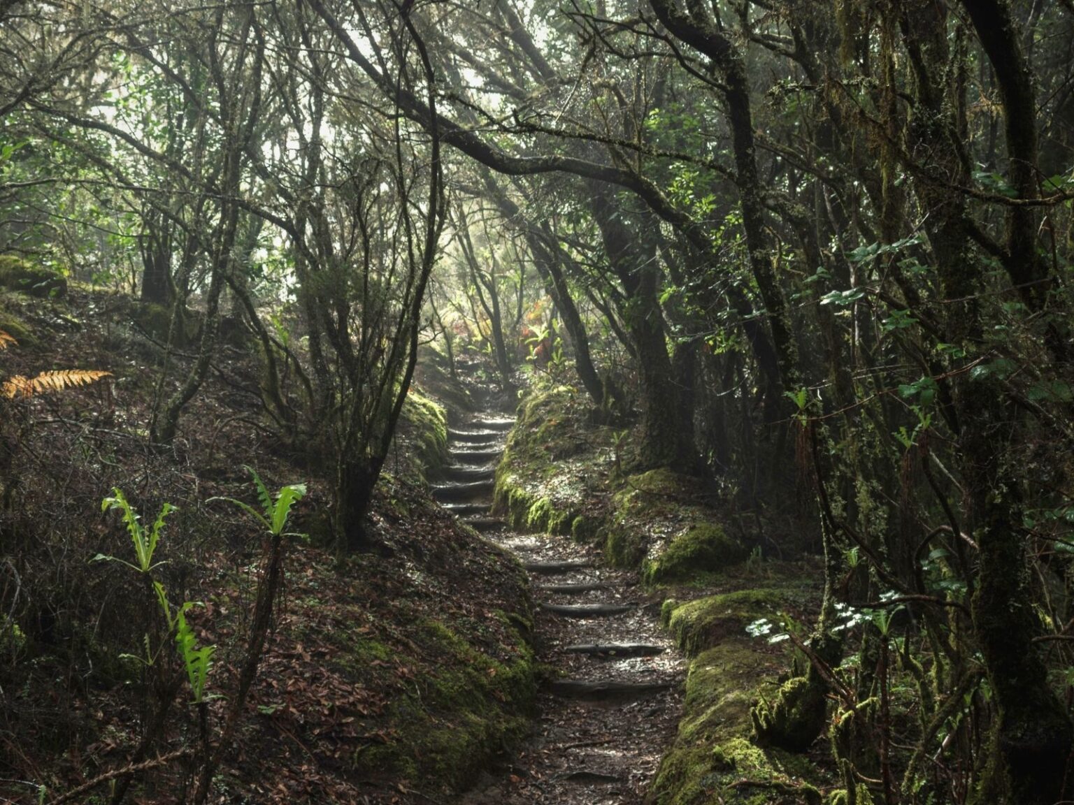 Viajar a Canarias en octubre: Clima, qué hacer y consejos útiles