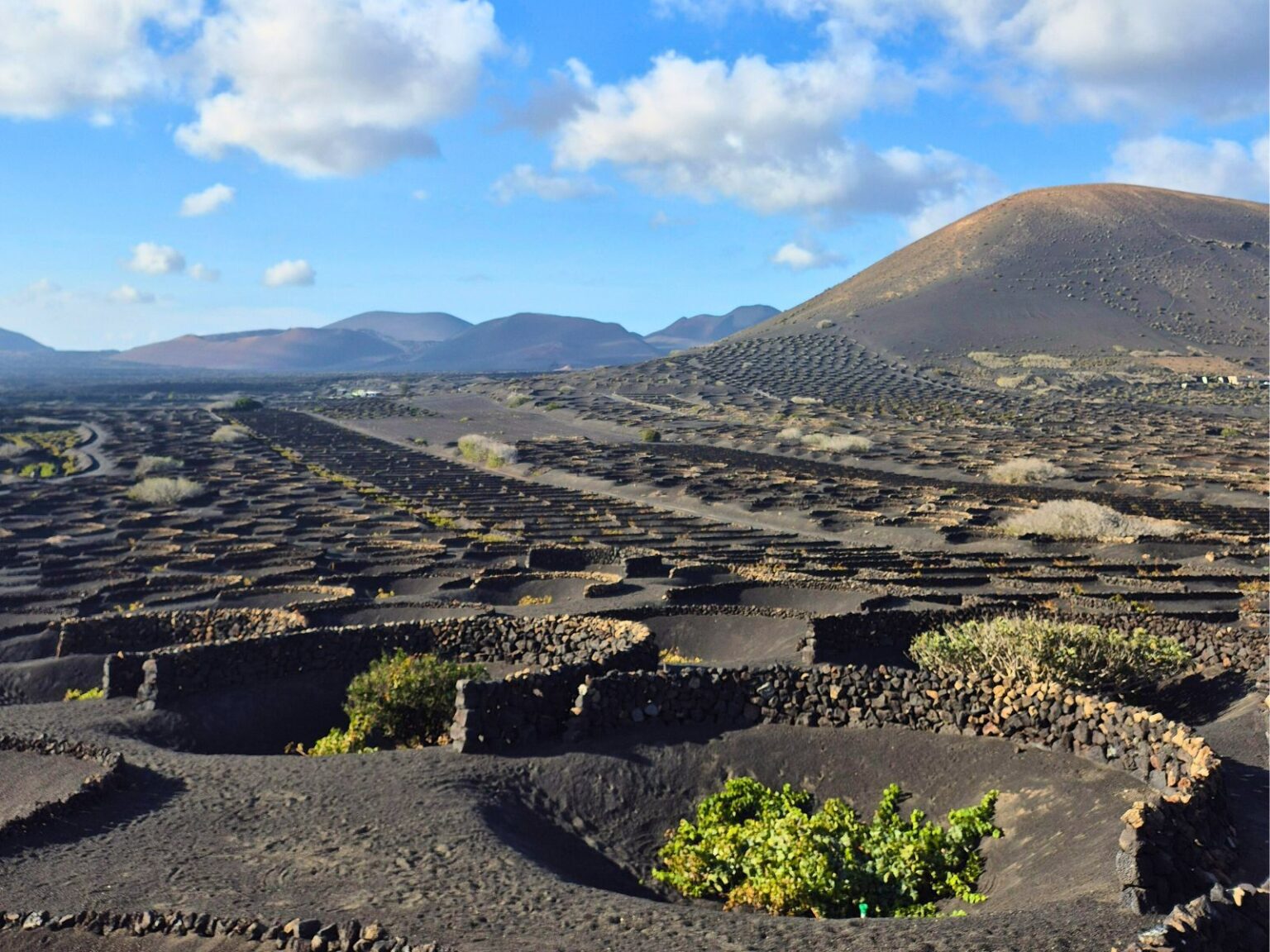 La Geria y ruta por las bodegas en Lanzarote