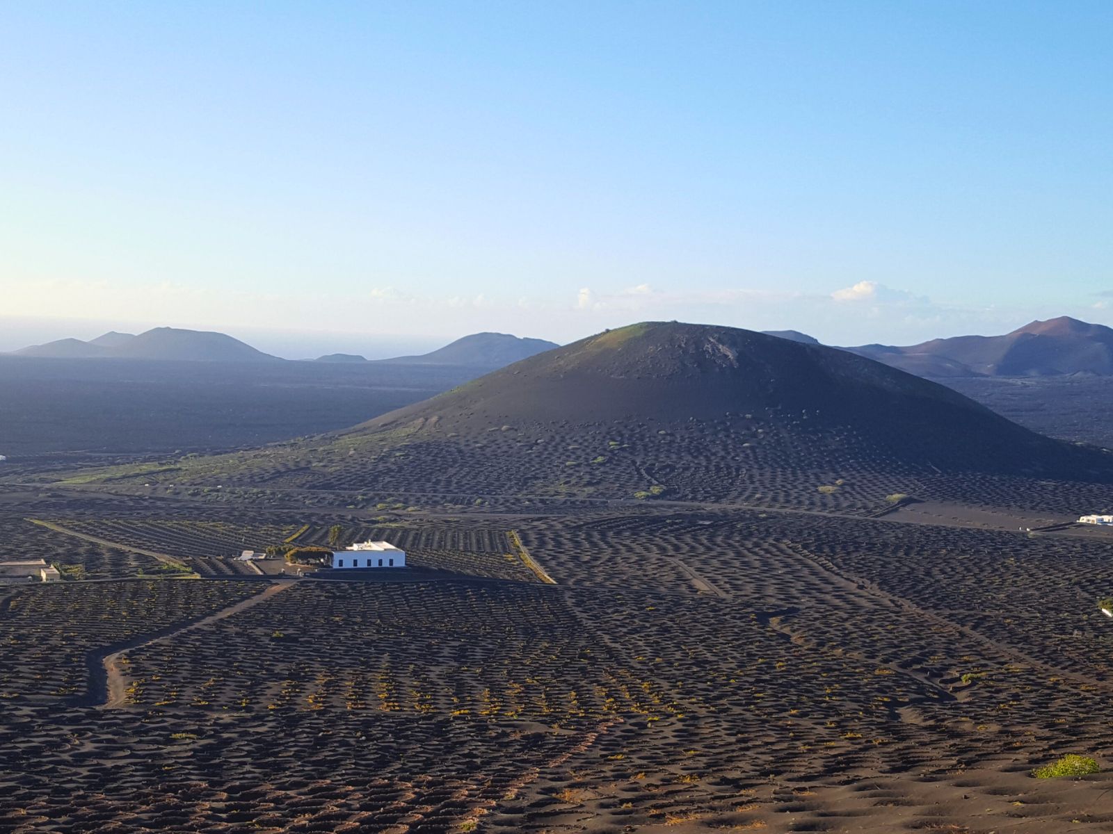 La Geria y ruta por las bodegas en Lanzarote